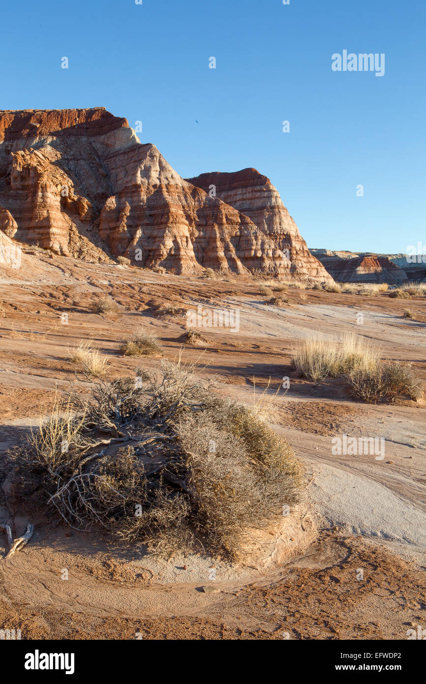 The paria hi-res stock photography and images - Alamy