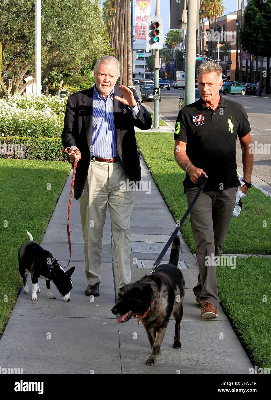 Jon Voight and Anthony Denison spotted out walking their dogs in ...