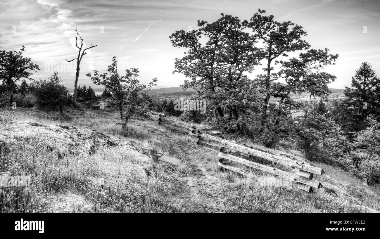 a hill top gary oak forest glade, Victoria BC, Canada Stock Photo - Alamy