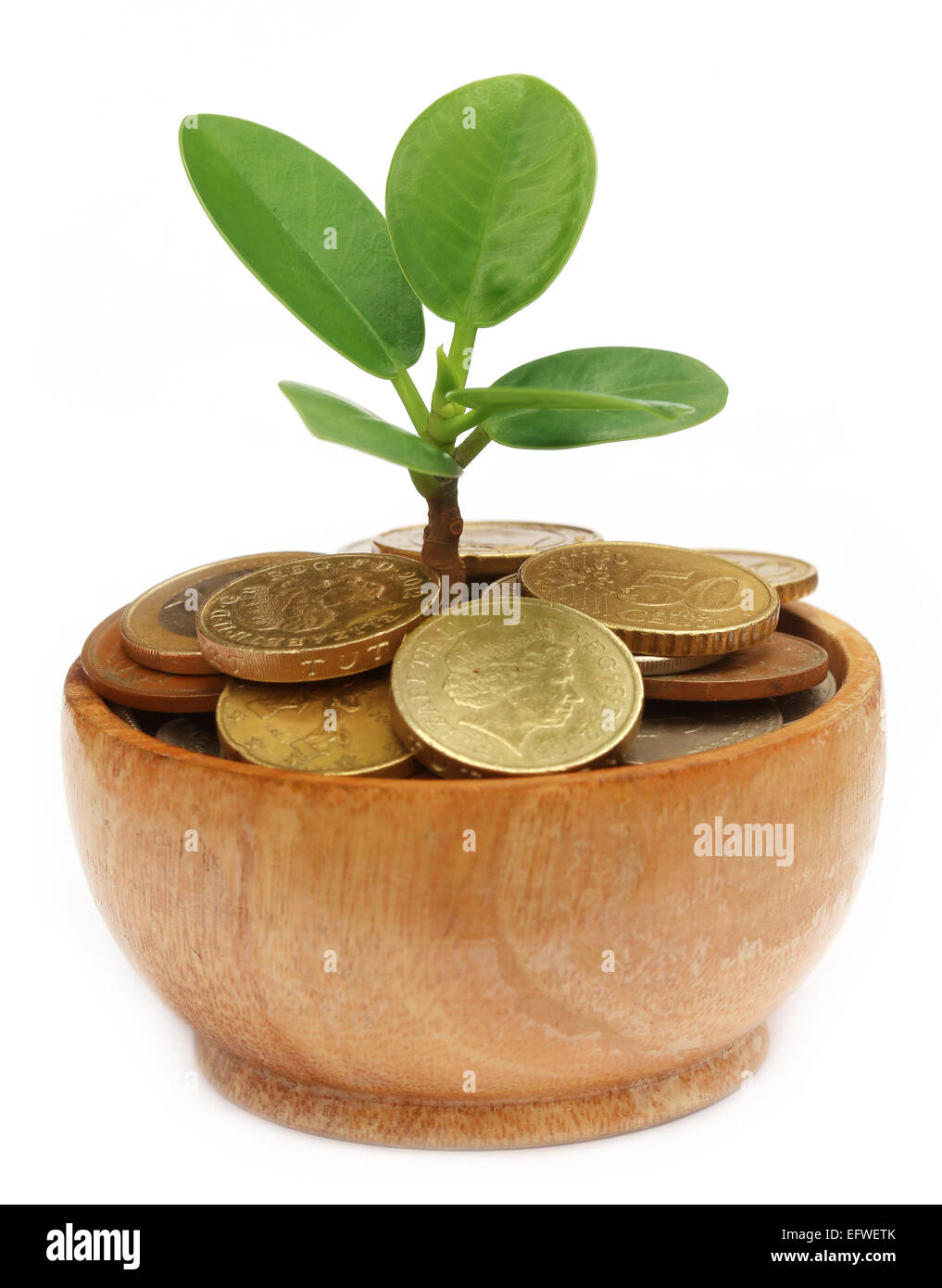 Pound sterling tree hi-res stock photography and images - Alamy