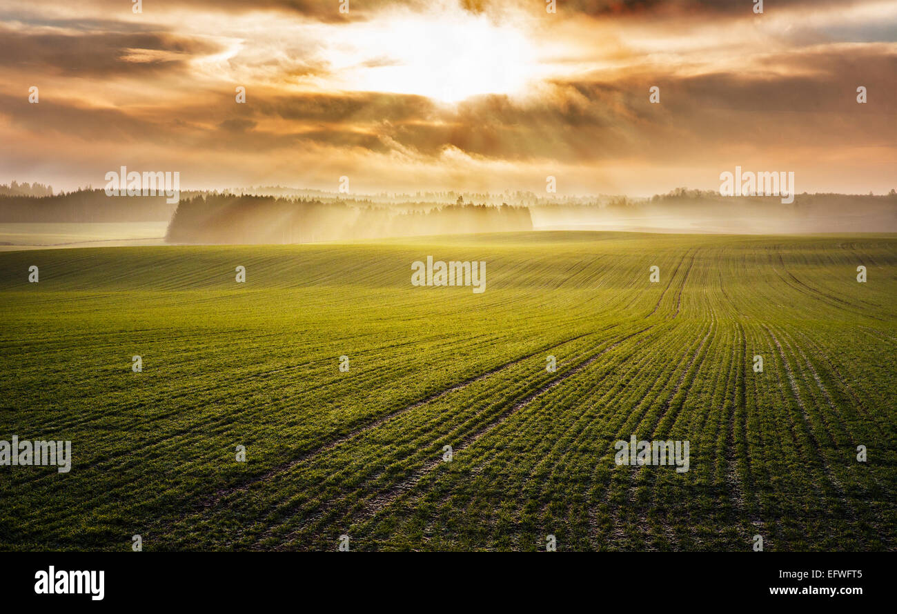 Vibrant green fields farms hi-res stock photography and images - Alamy