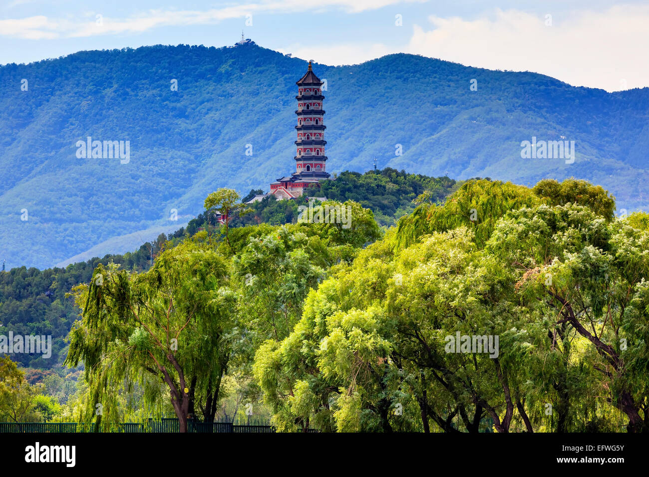 Chinese willow trees hi-res stock photography and images - Alamy