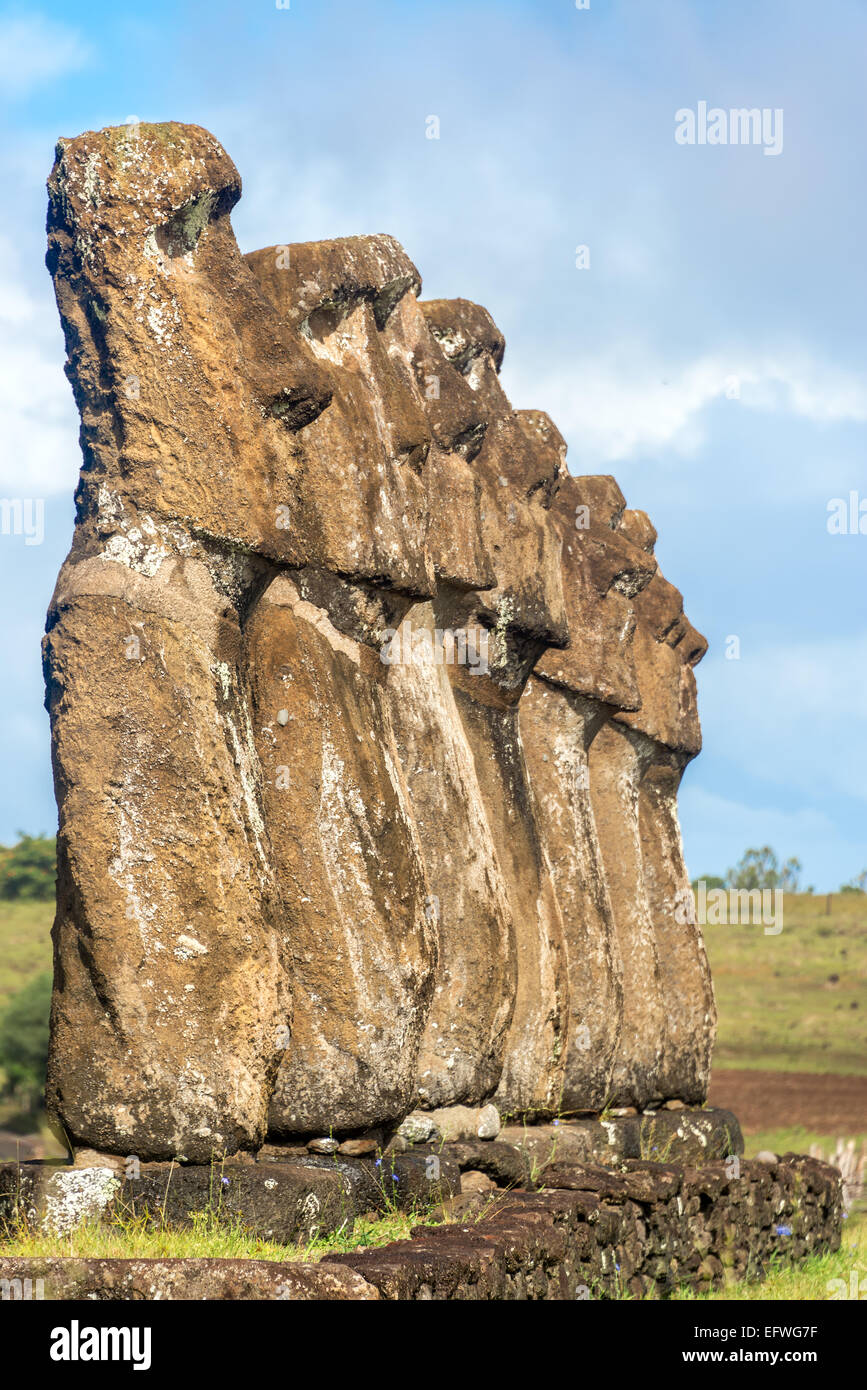 Moai statues ahu akivi hi-res stock photography and images - Alamy