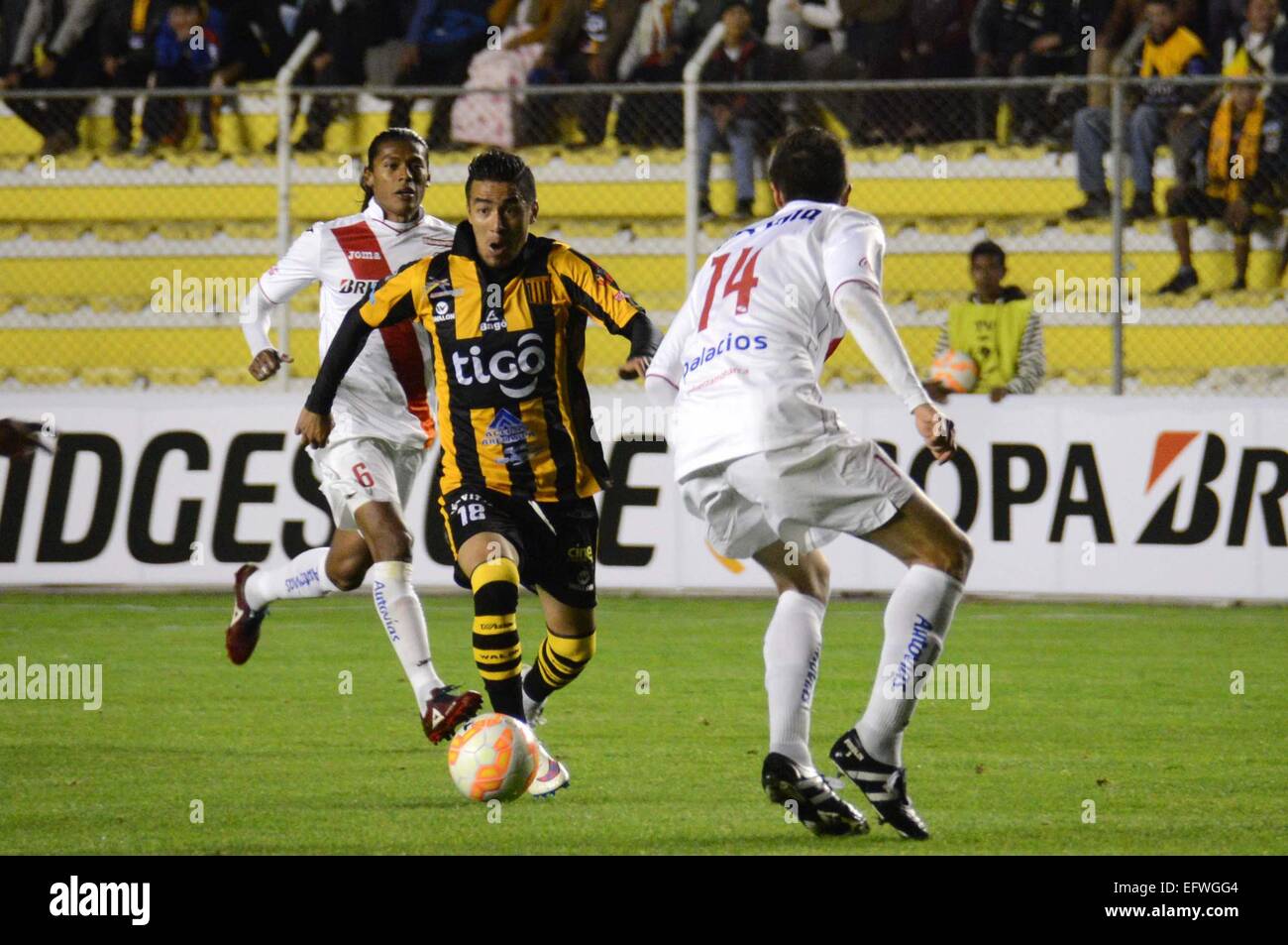 Ramallo rodrigo hi-res stock photography and images - Alamy