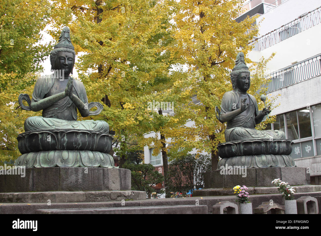 Shinto Shrine in Tokyo Stock Photo - Alamy