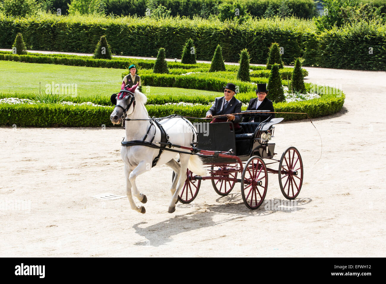 Iternational competition for traditional carriages "La Venaria Reale ...