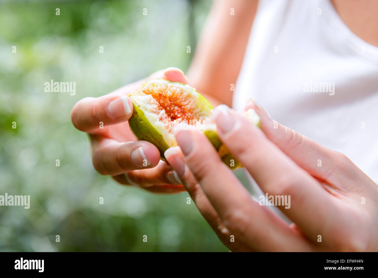 Fig tree branch figs hi-res stock photography and images - Alamy
