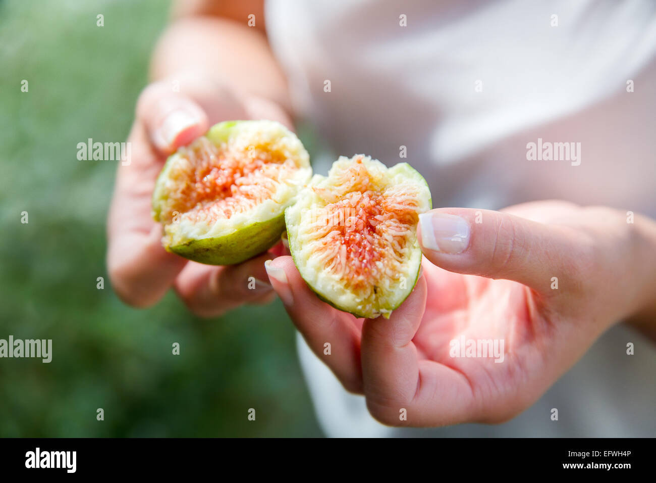 Divided fresh organic figs from the tree Stock Photo - Alamy