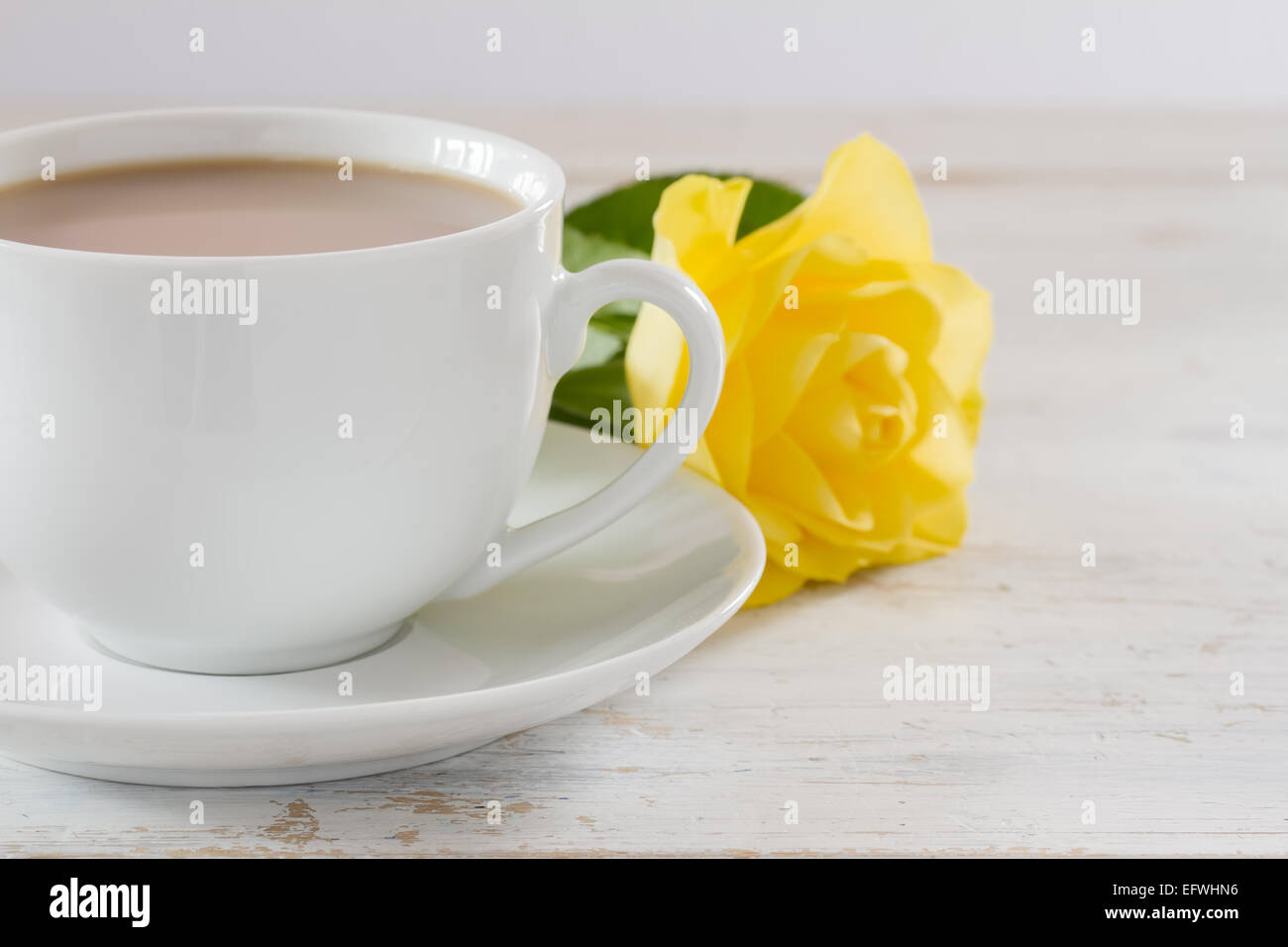 Cup saucer porcelain rose hi-res stock photography and images - Alamy