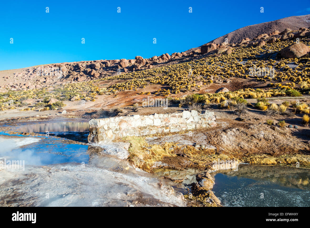 Landscape at El Tatio Geyser near San Pedro de Atacama, Chile Stock ...