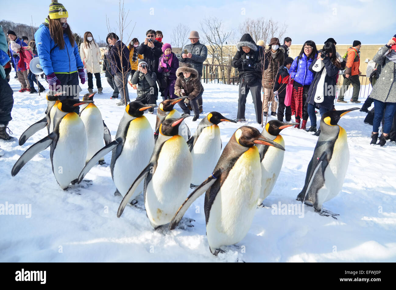 "How adorable they are!" II Stock Photo - Alamy