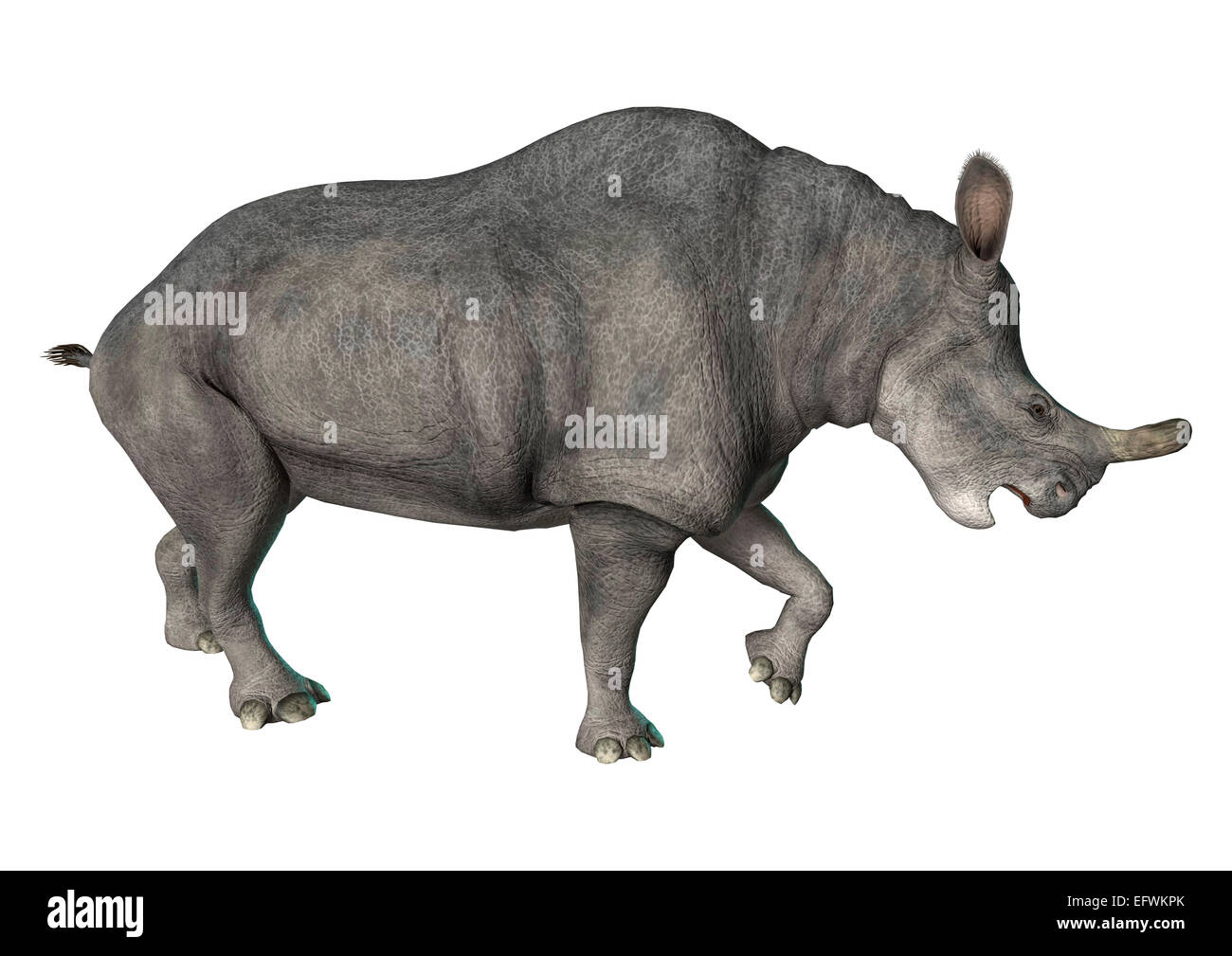 3D digital render of an aggressive Brontotherium isolated on white ...