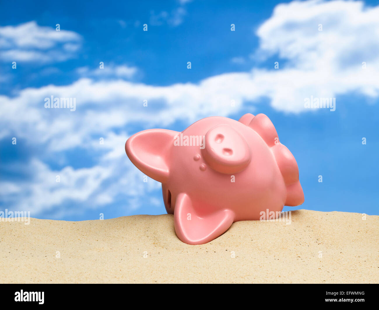 Pig in desert hi-res stock photography and images - Alamy