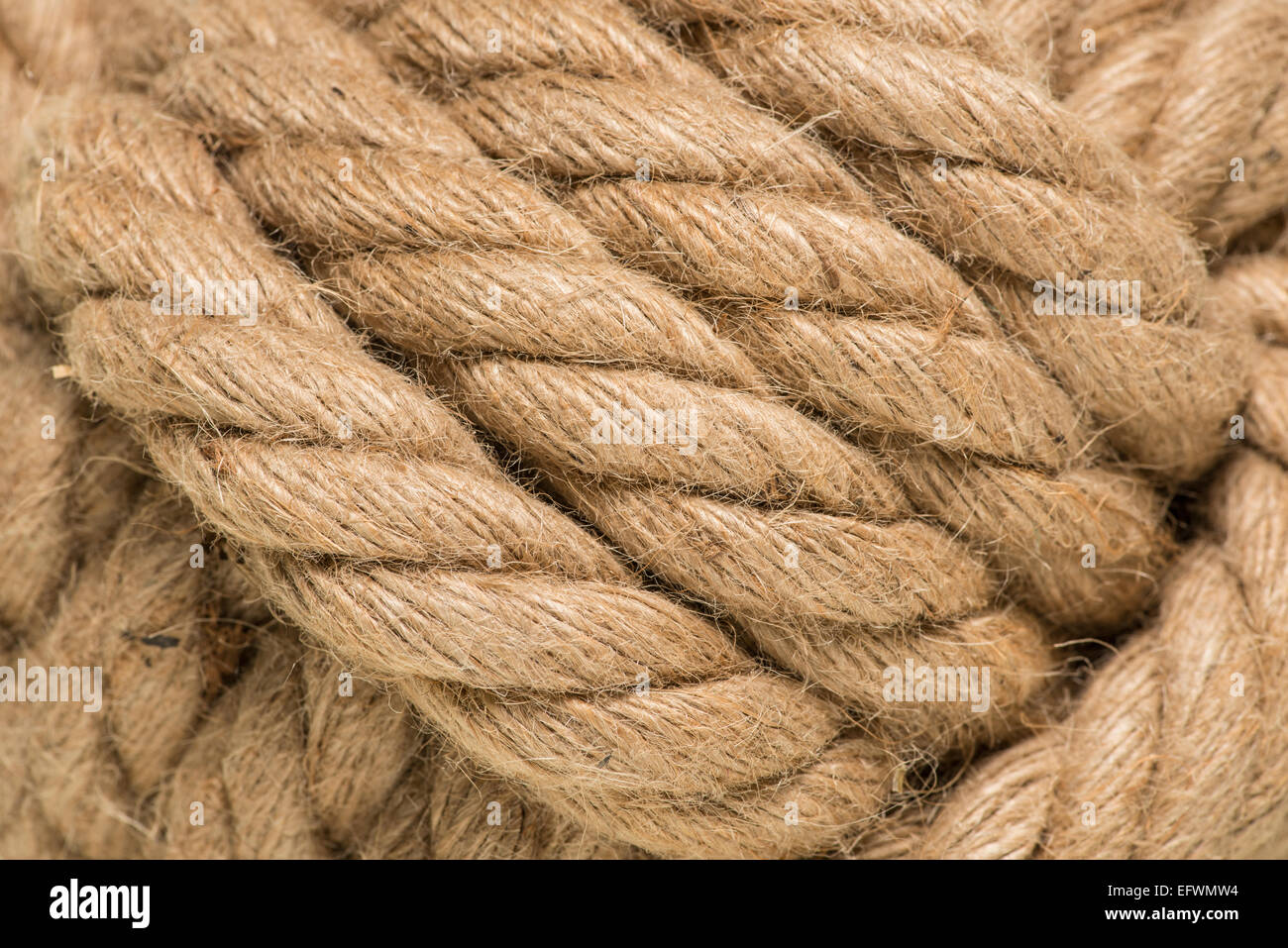 Macro tied up ham rope hi-res stock photography and images - Alamy
