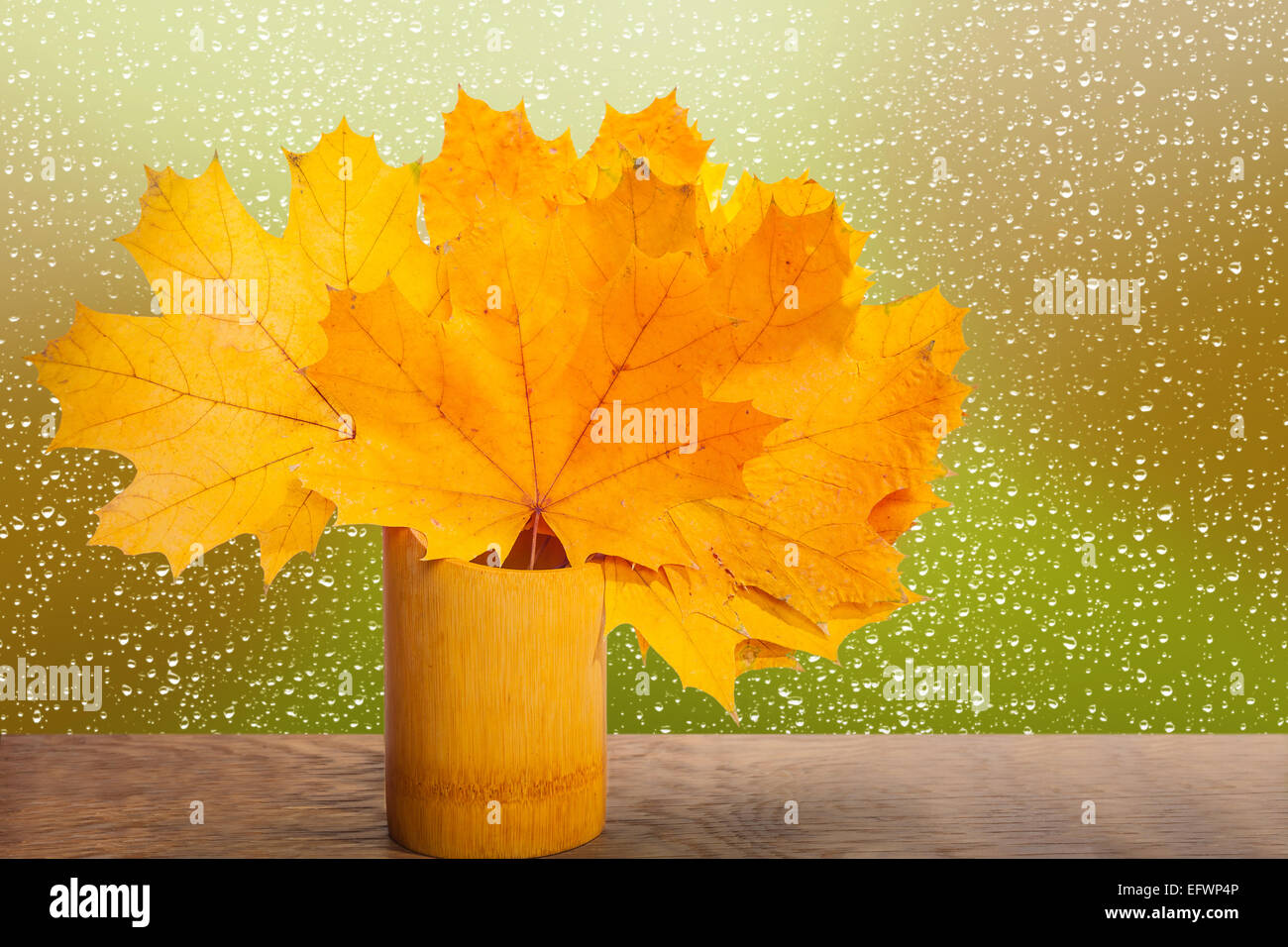 Bouquet of maple leaves hi-res stock photography and images - Alamy