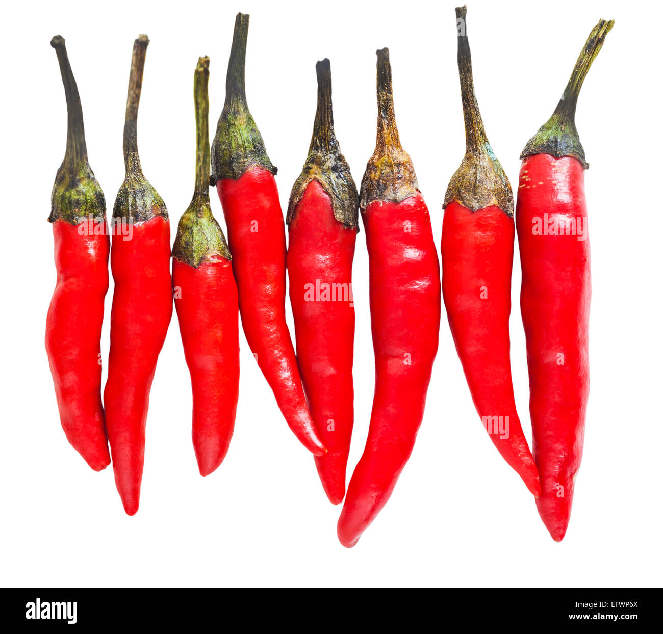 chili pods laid in a row on a white background isolated Stock Photo - Alamy