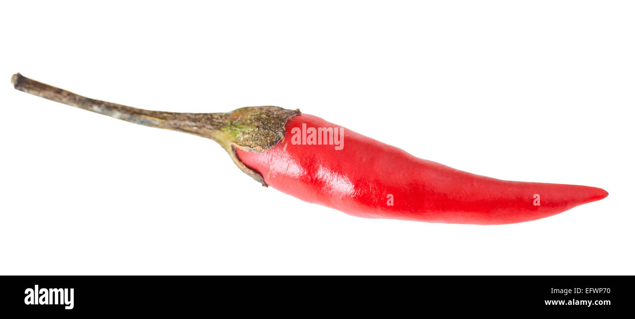 one hot pepper isolated on a white background Stock Photo - Alamy