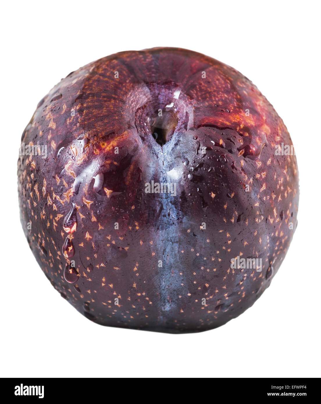 blue plum with water drops isolated on white background Stock Photo - Alamy