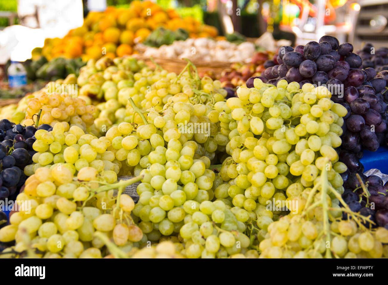 white grapes isolated Stock Photo - Alamy