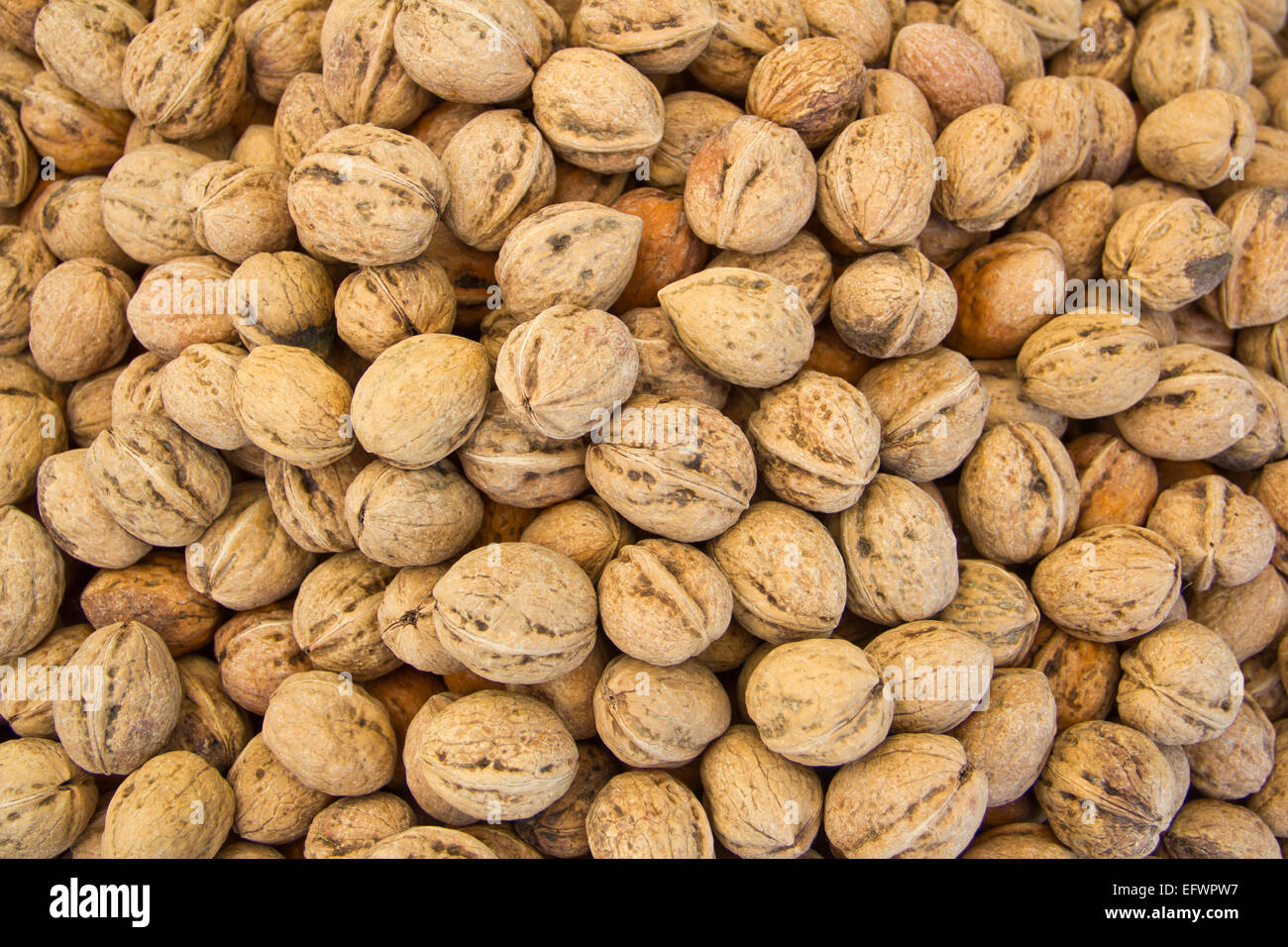 walnuts close up Stock Photo - Alamy