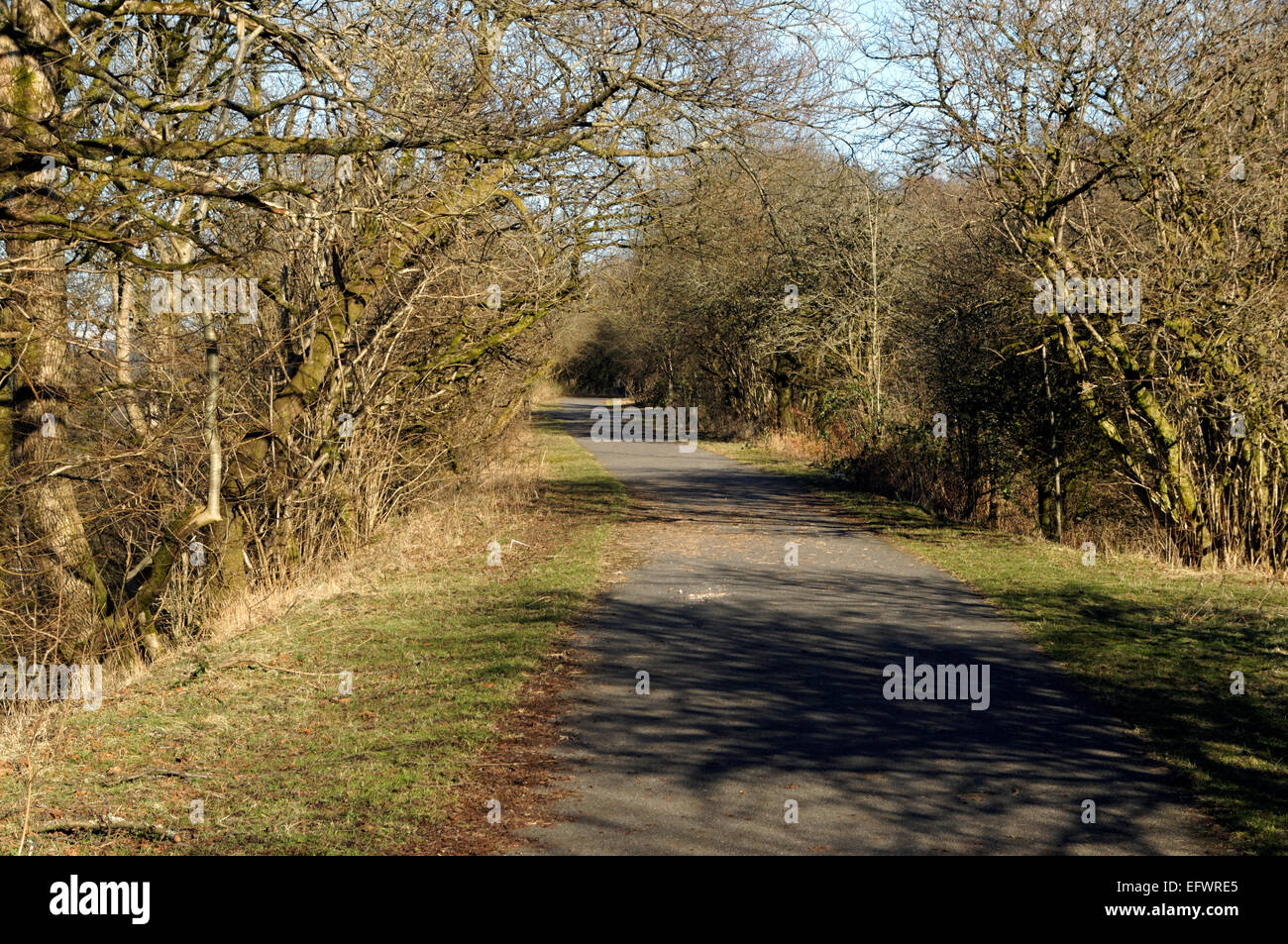 Taff trail hi-res stock photography and images - Alamy