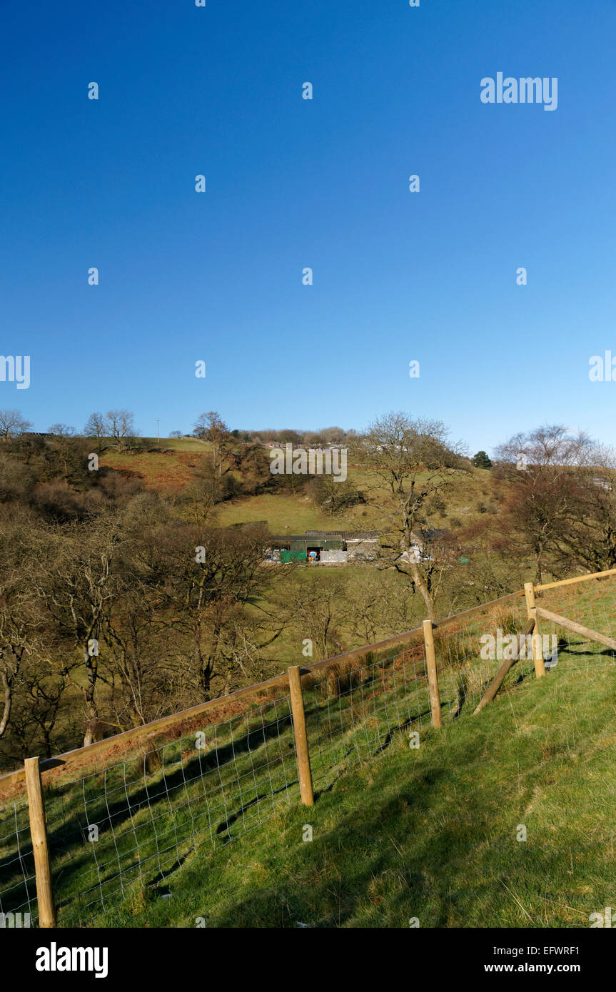 Vaynor park hi-res stock photography and images - Alamy