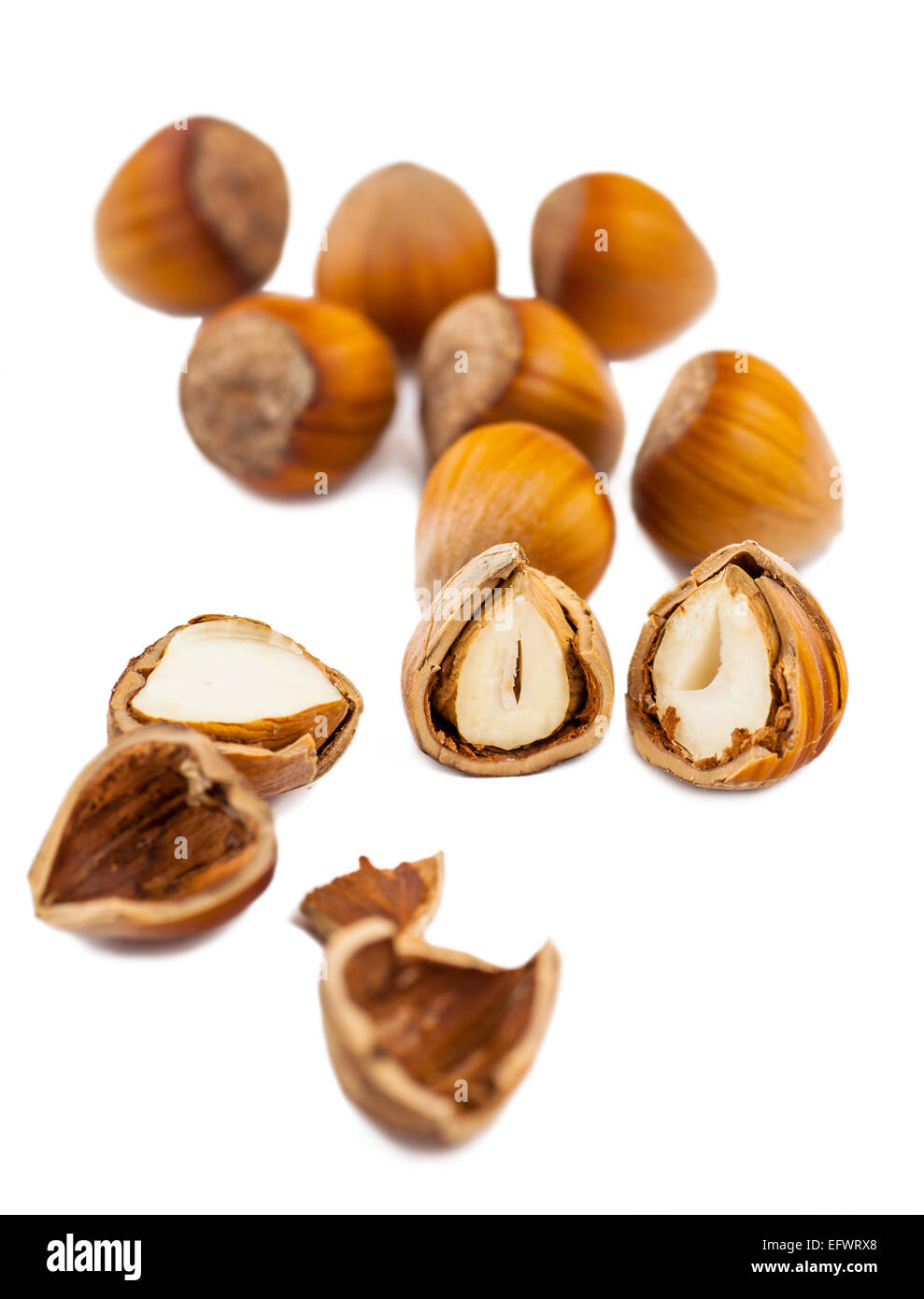 whole and split hazelnuts isolated on white background Stock Photo - Alamy