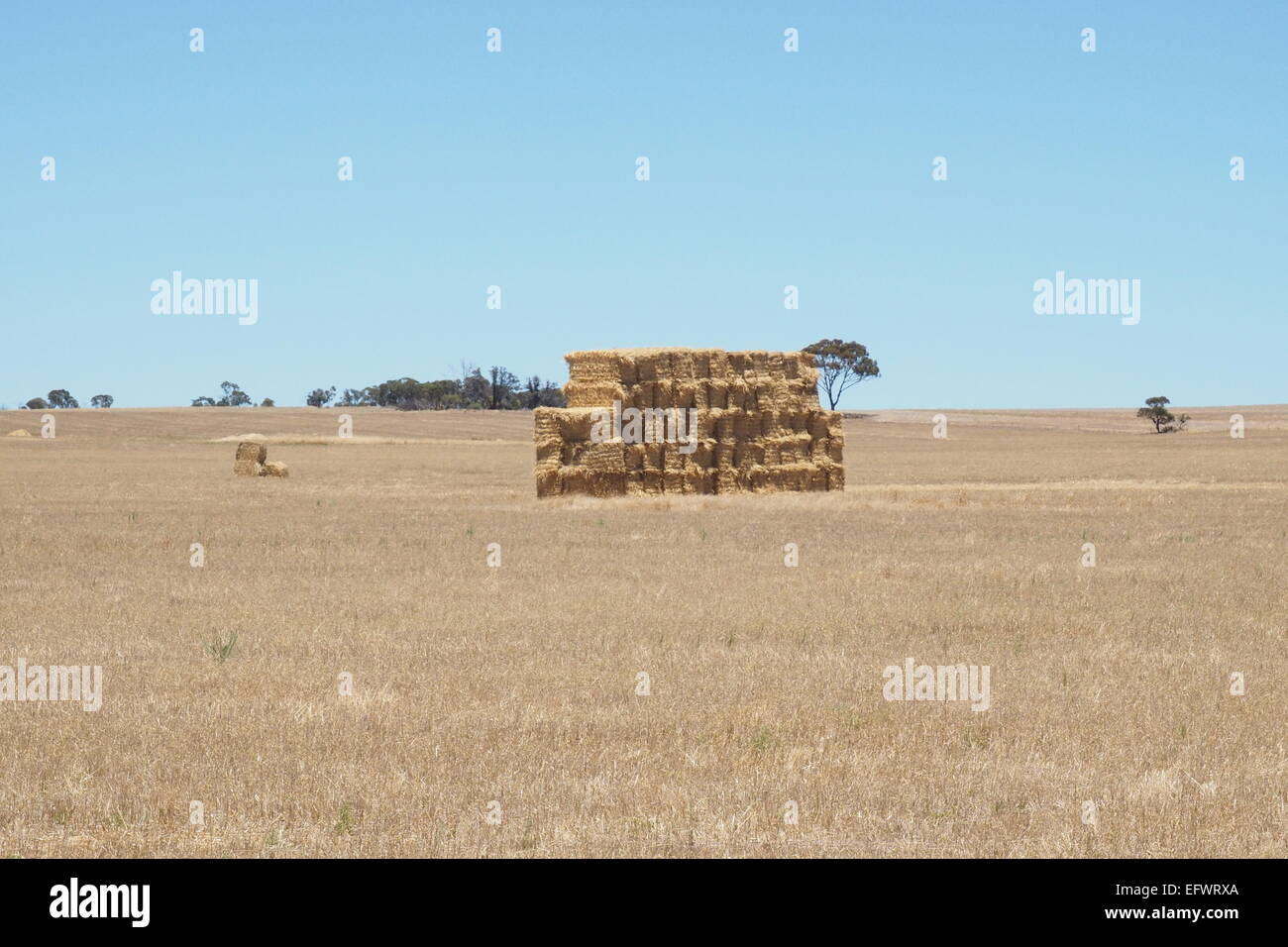 Australian wheat harvest hi-res stock photography and images - Alamy