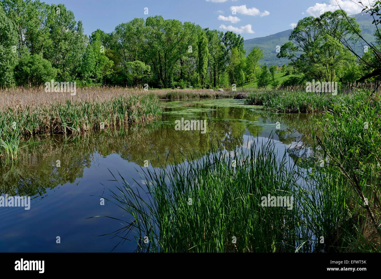Sofia park bulgaria hi-res stock photography and images - Alamy