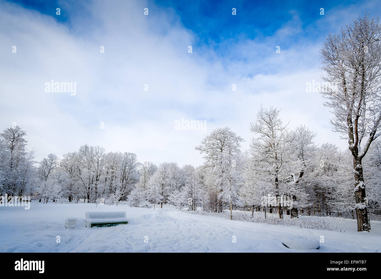Winter snow scene park bench hi-res stock photography and images - Alamy