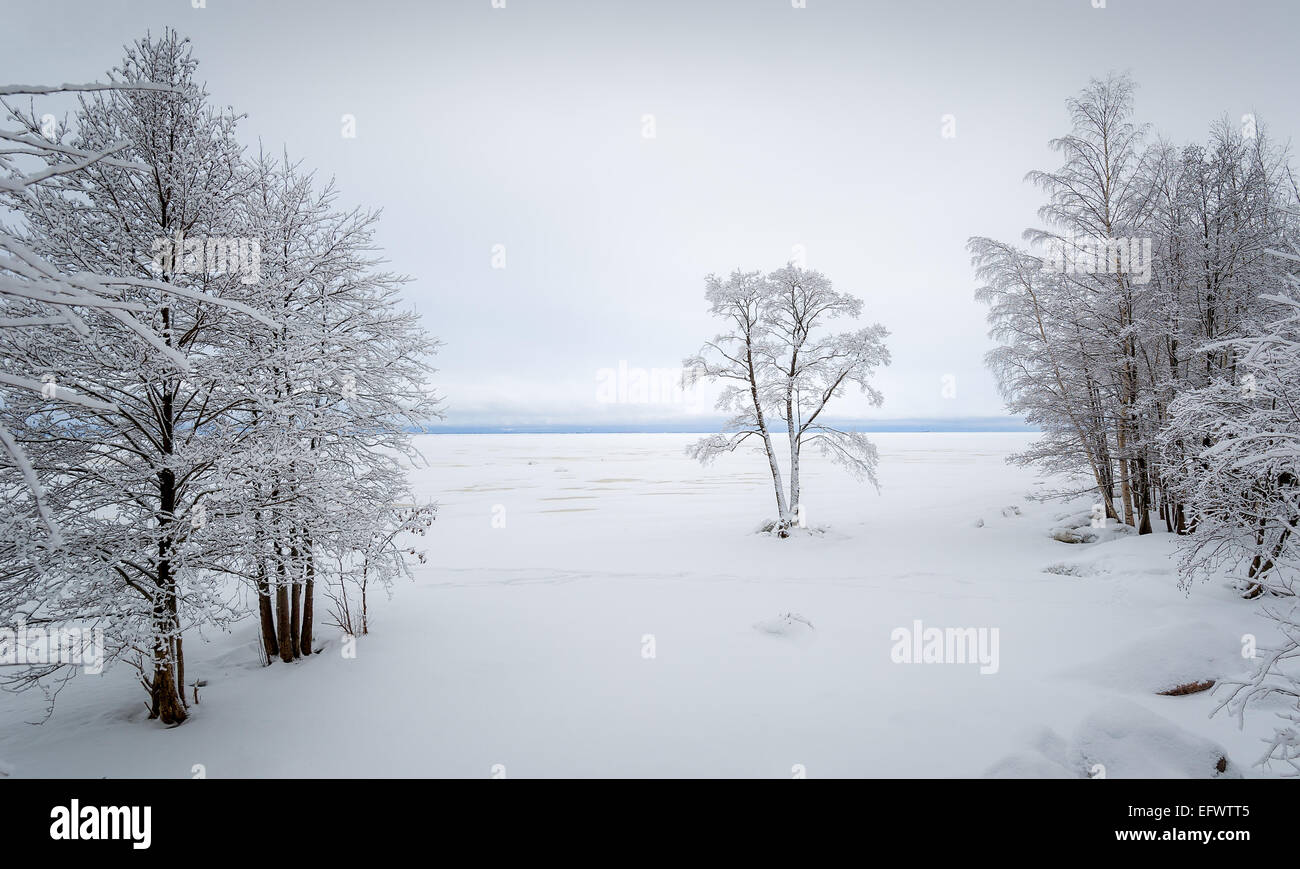 Tree field winter hi-res stock photography and images - Alamy
