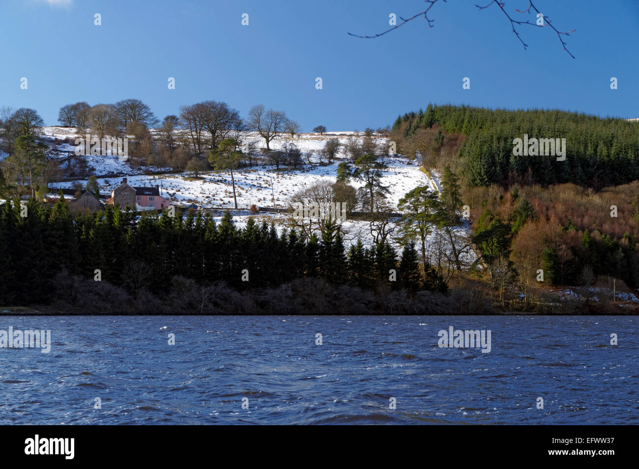 Pentwyn farm hi-res stock photography and images - Alamy