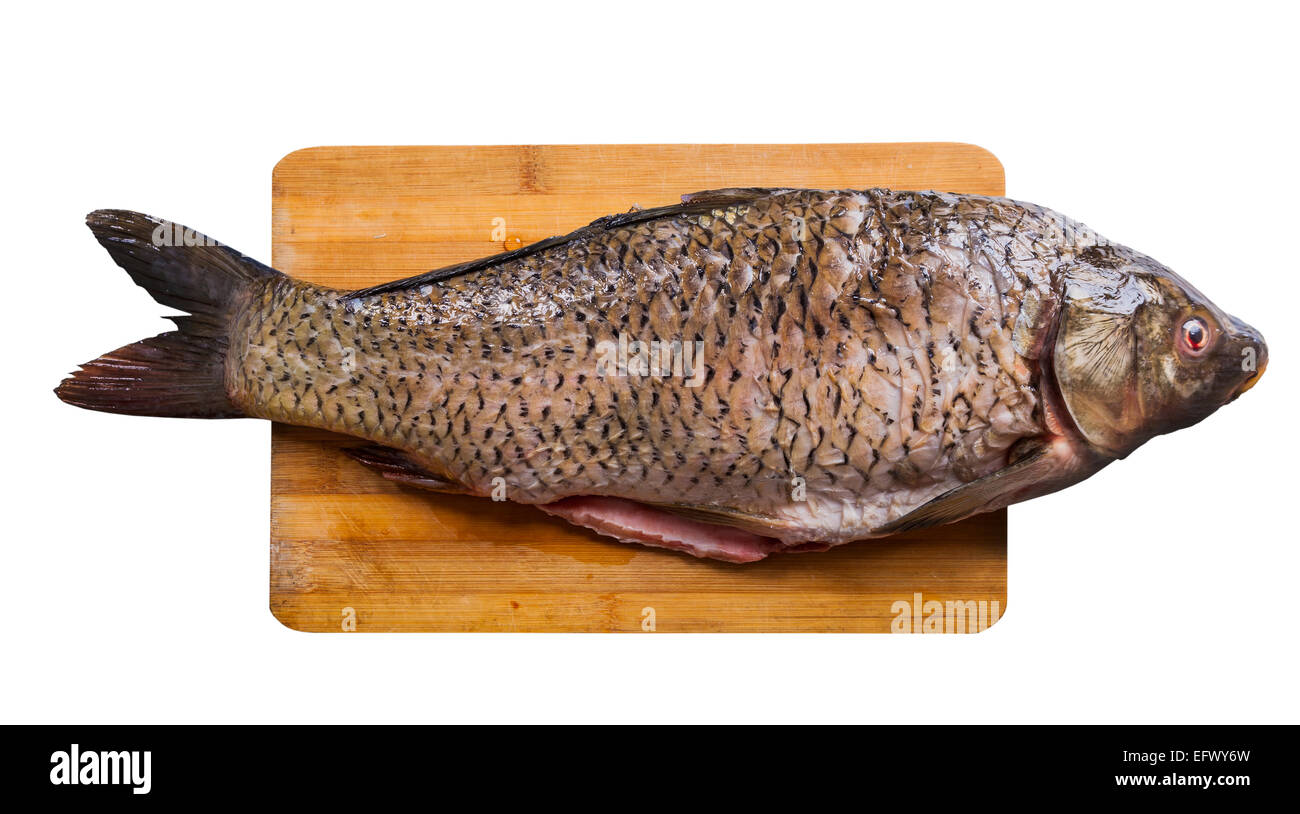 Carp head Cut Out Stock Images & Pictures - Alamy
