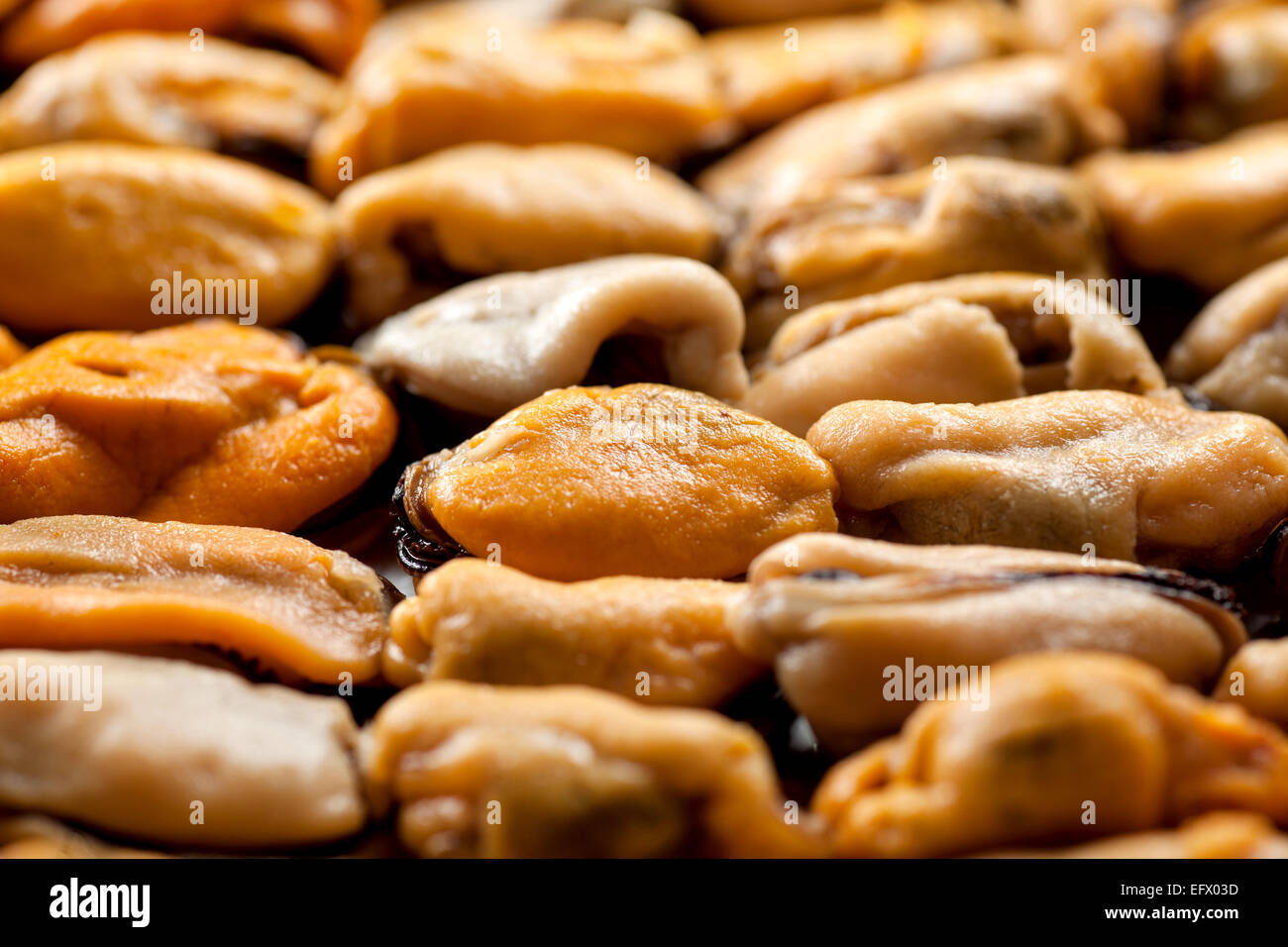 background mussels meat laid out in rows closeup Stock Photo - Alamy