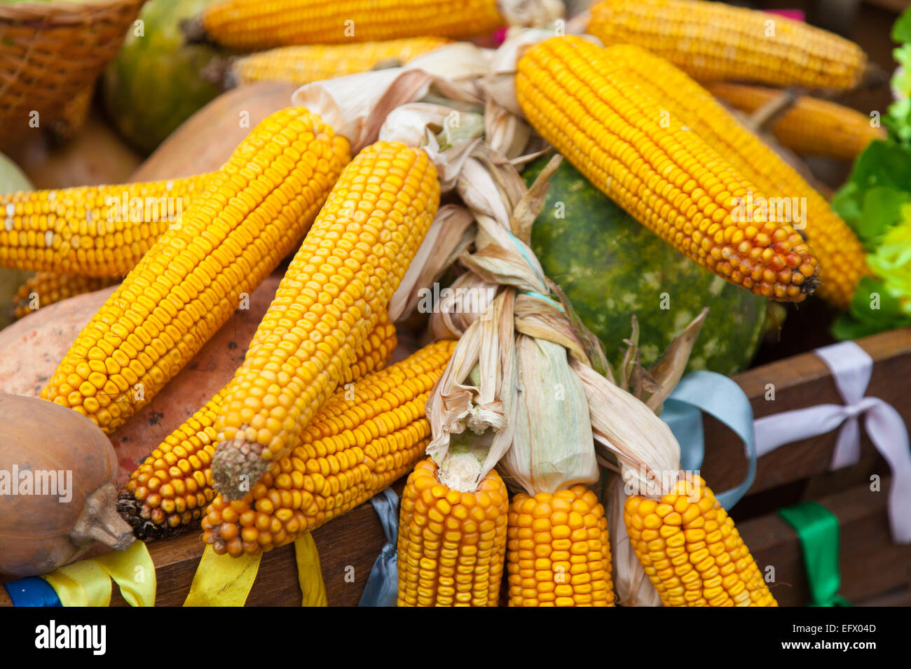 corn still life, fair option Stock Photo - Alamy