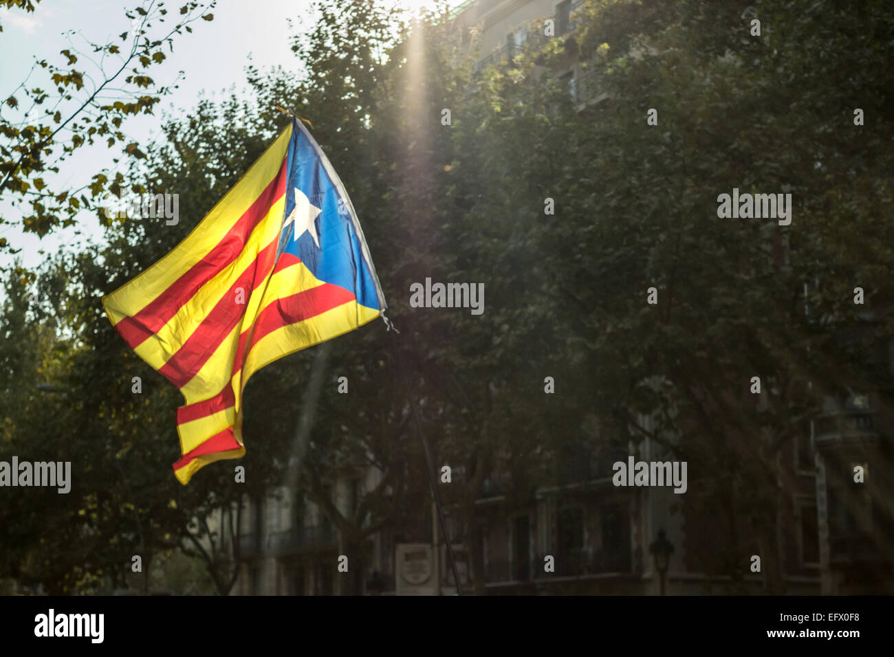 Flag of catalonia hi-res stock photography and images - Alamy