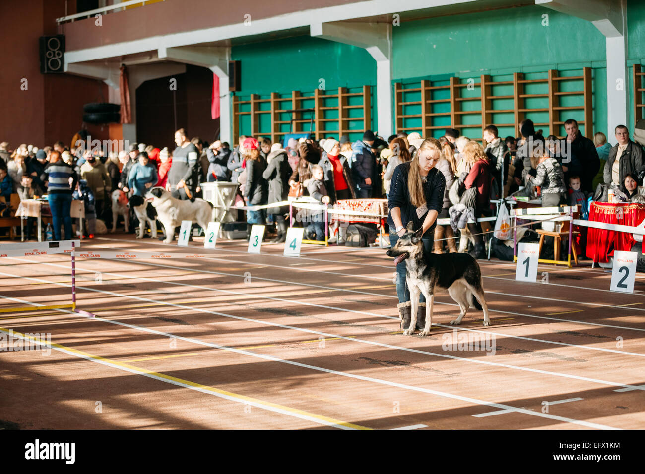 International dog show hi-res stock photography and images - Alamy