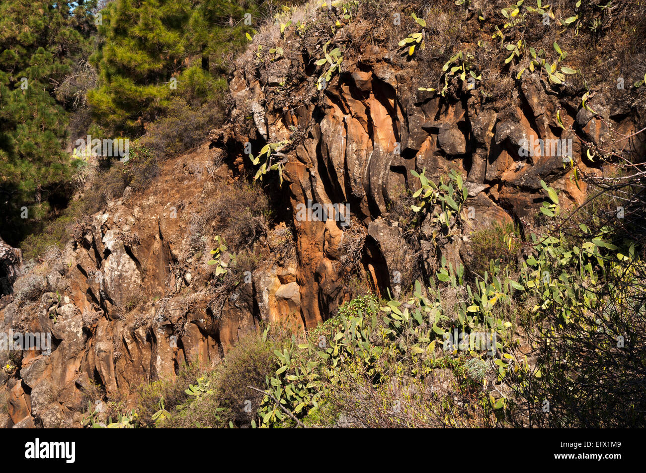 Basalt results from melting rocks deep in the earth and solidifying of ...