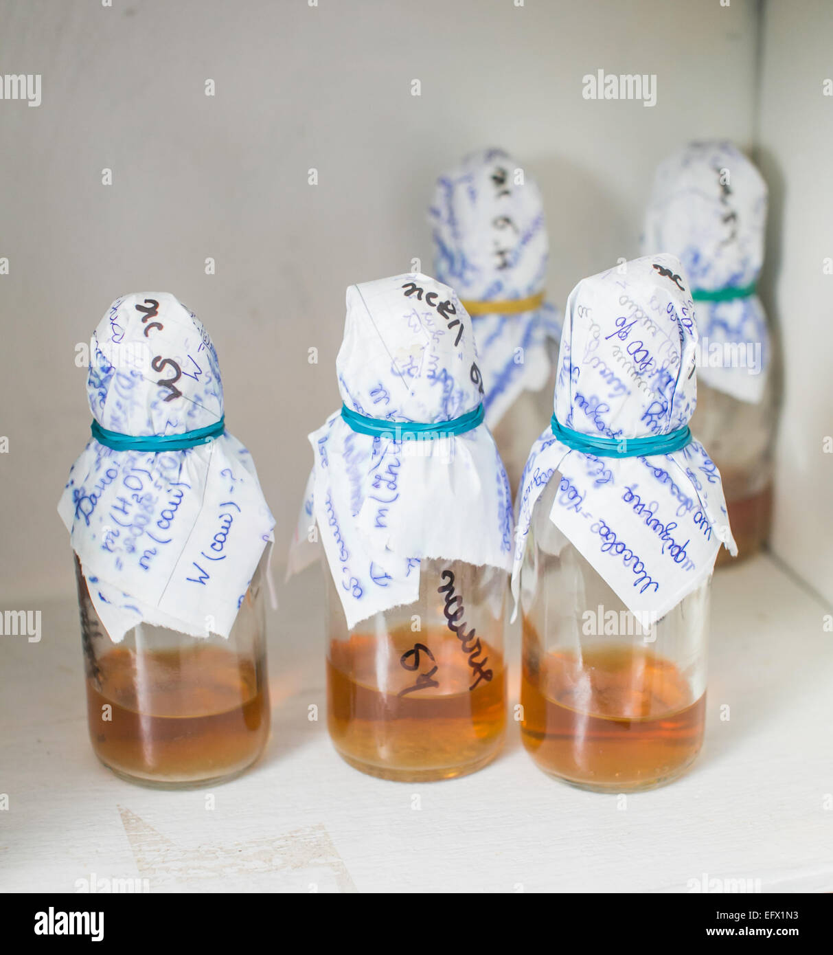 Bottles with test samples in laboratory Stock Photo - Alamy