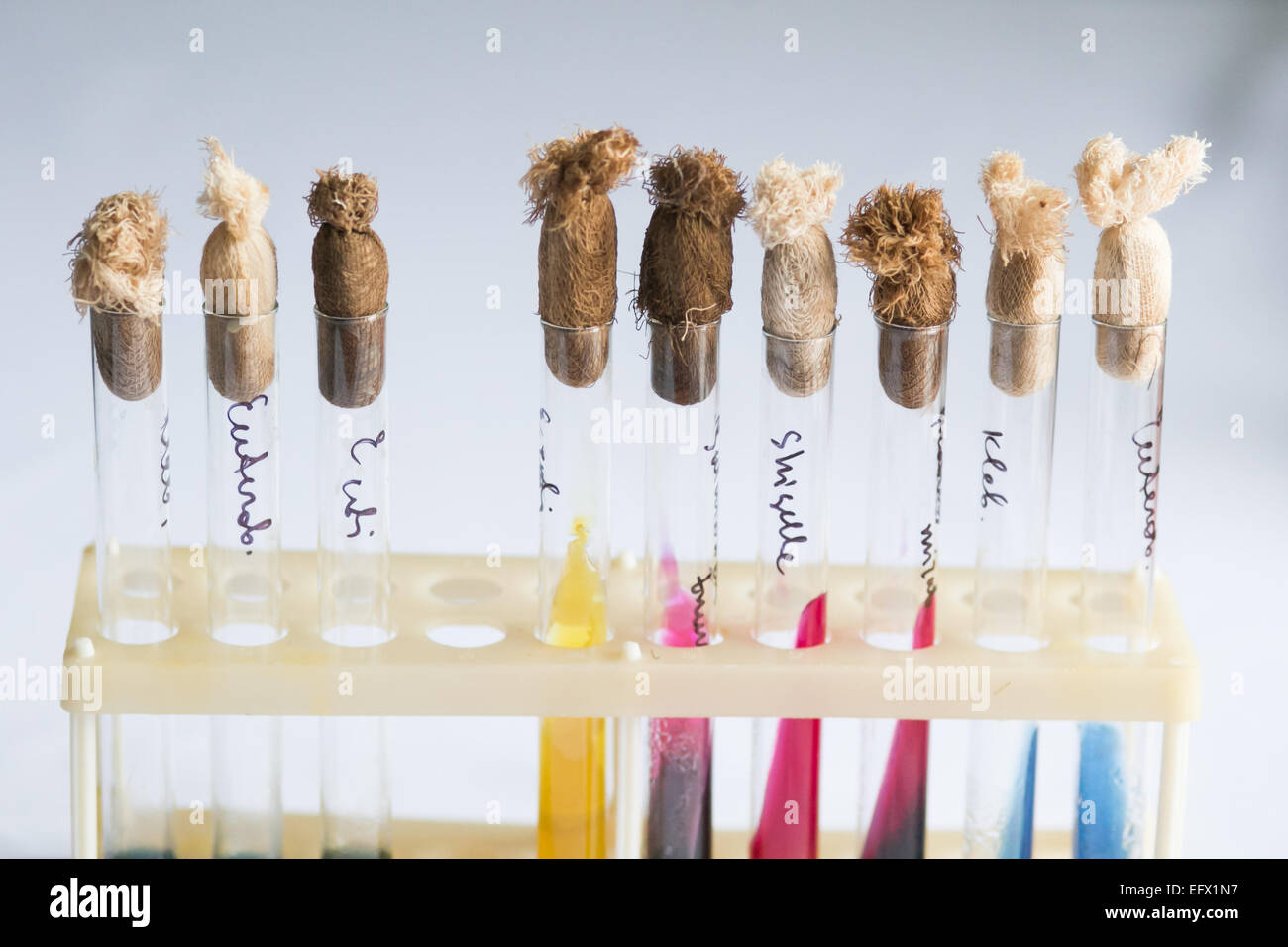 Lab rack hi-res stock photography and images - Alamy