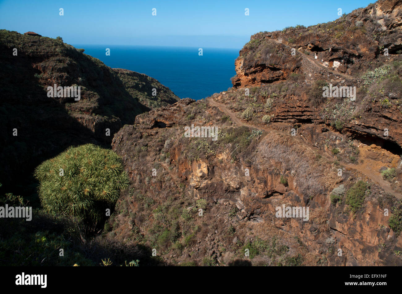 Locals call the deep gullies in the volcanic slopes "barranco" and ...