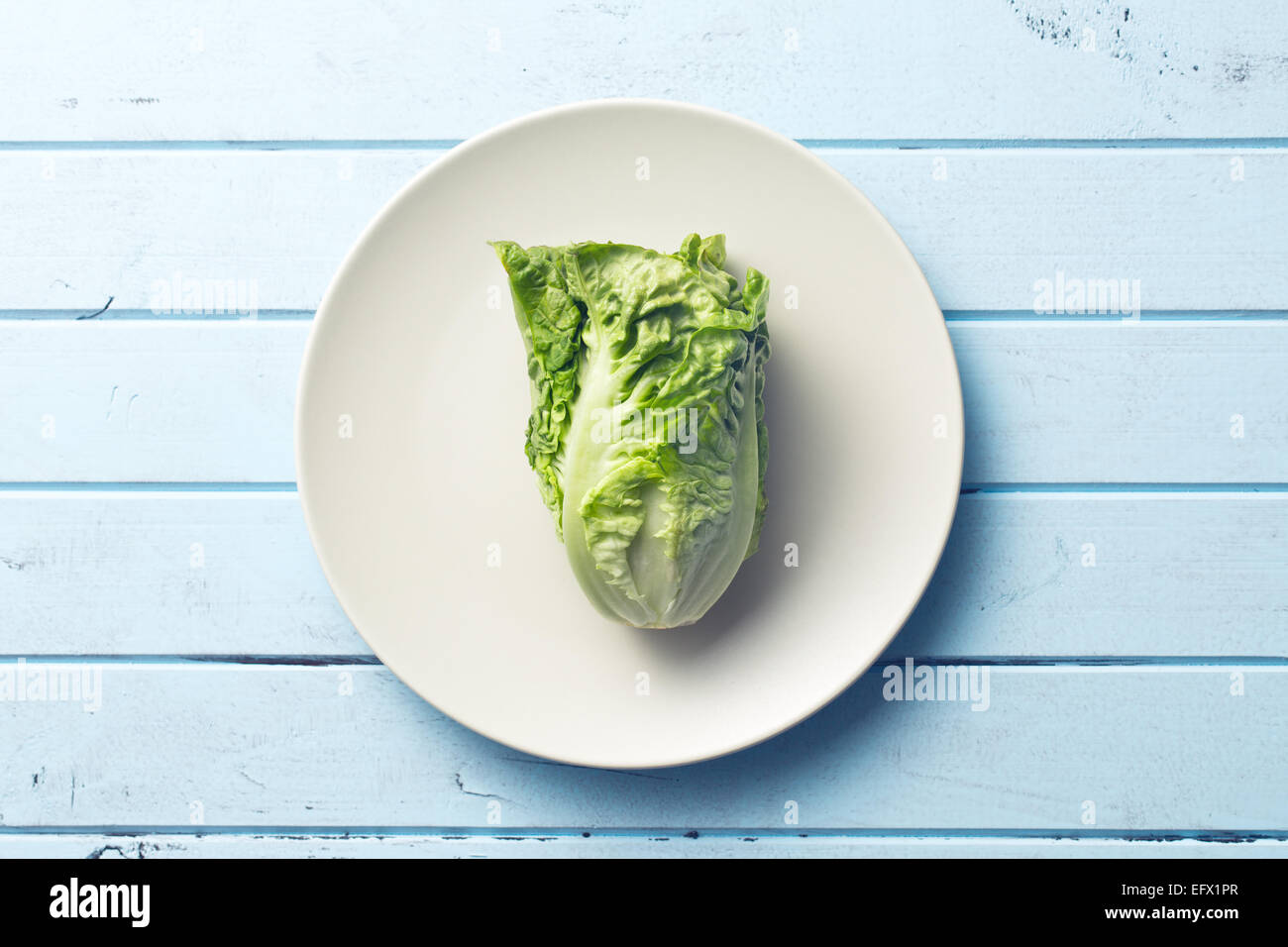 Romaine lettuce plate hi-res stock photography and images - Alamy