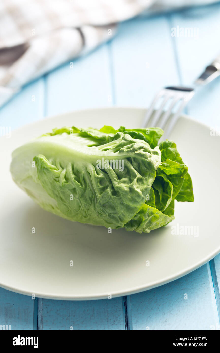 Romaine lettuce plate hi-res stock photography and images - Alamy