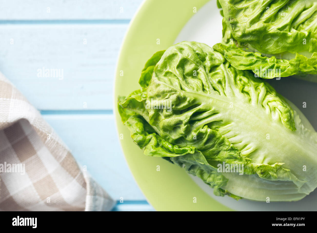 Single Leaf High Resolution Stock Photography and Images - Alamy