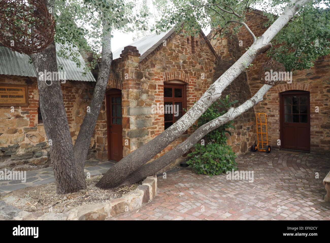 The colonial estate winery australia hi-res stock photography and ...