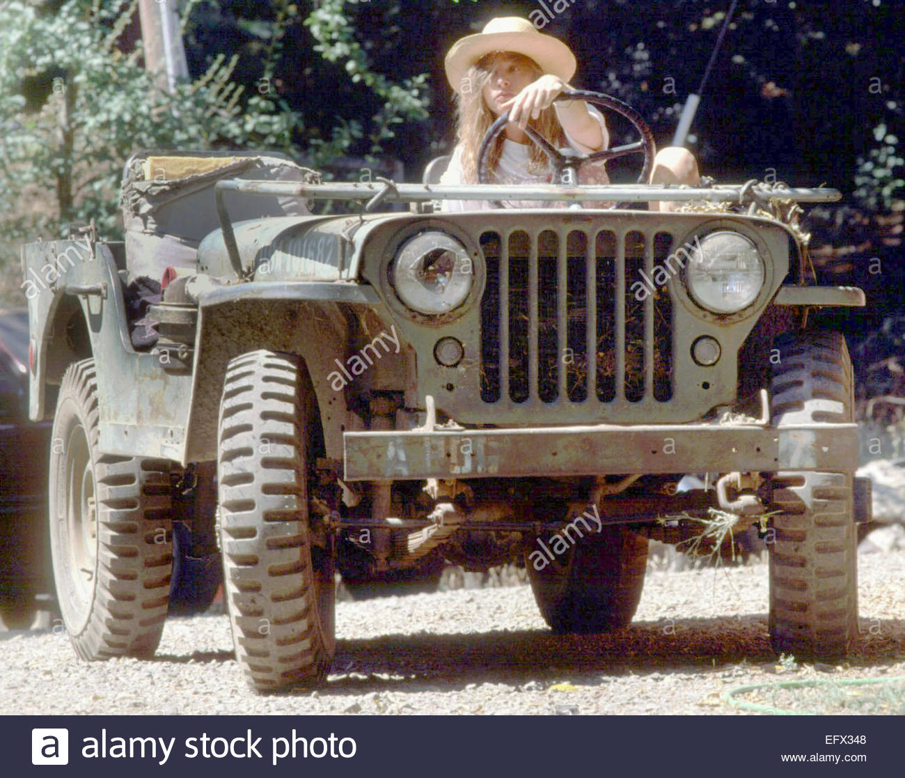 Usa Military Vehicle Willys Jeep Stock Photos & Usa Military Vehicle ...