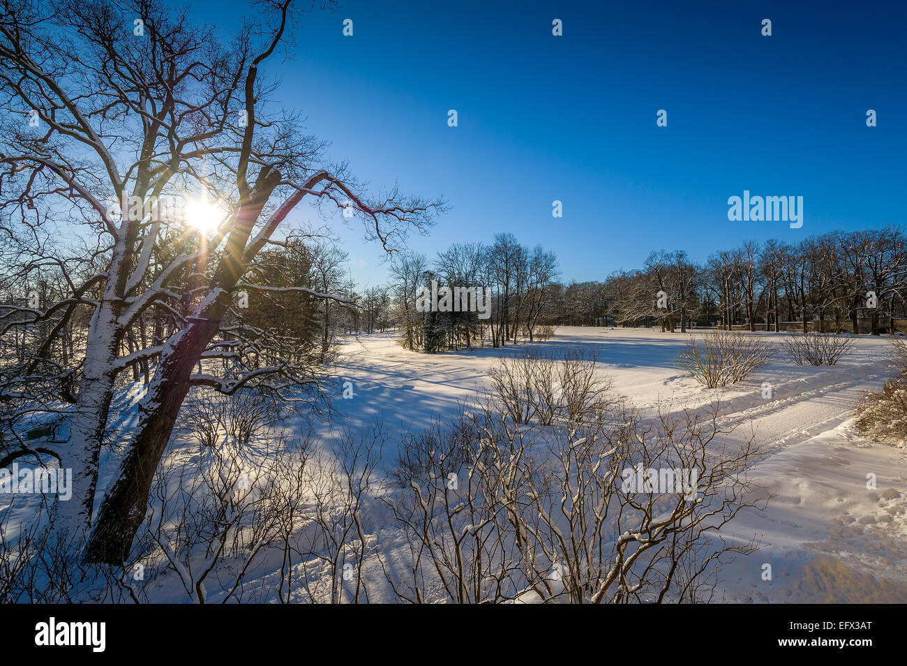 Winter sun sunshine hi-res stock photography and images - Alamy