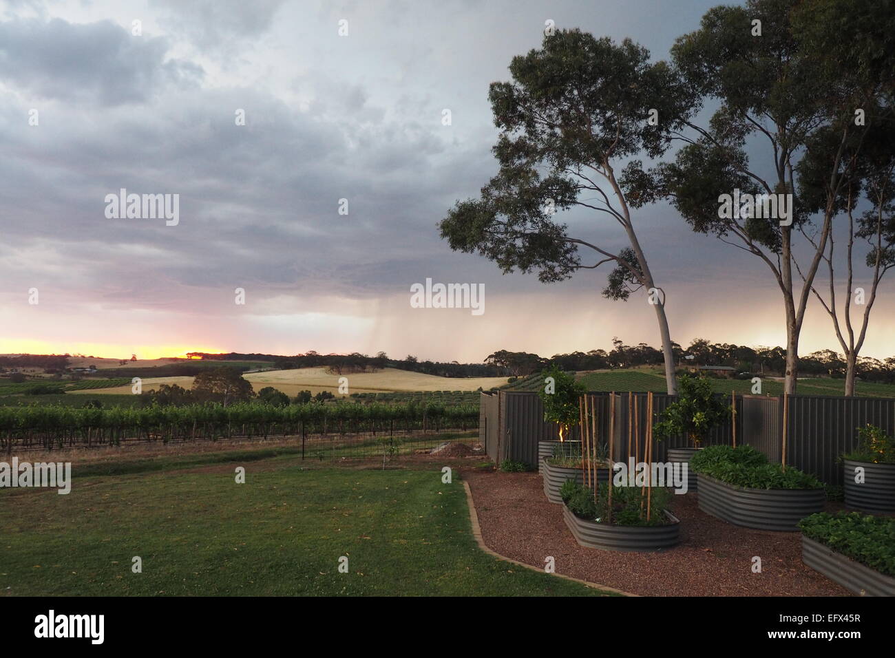 Clare valley hi-res stock photography and images - Alamy