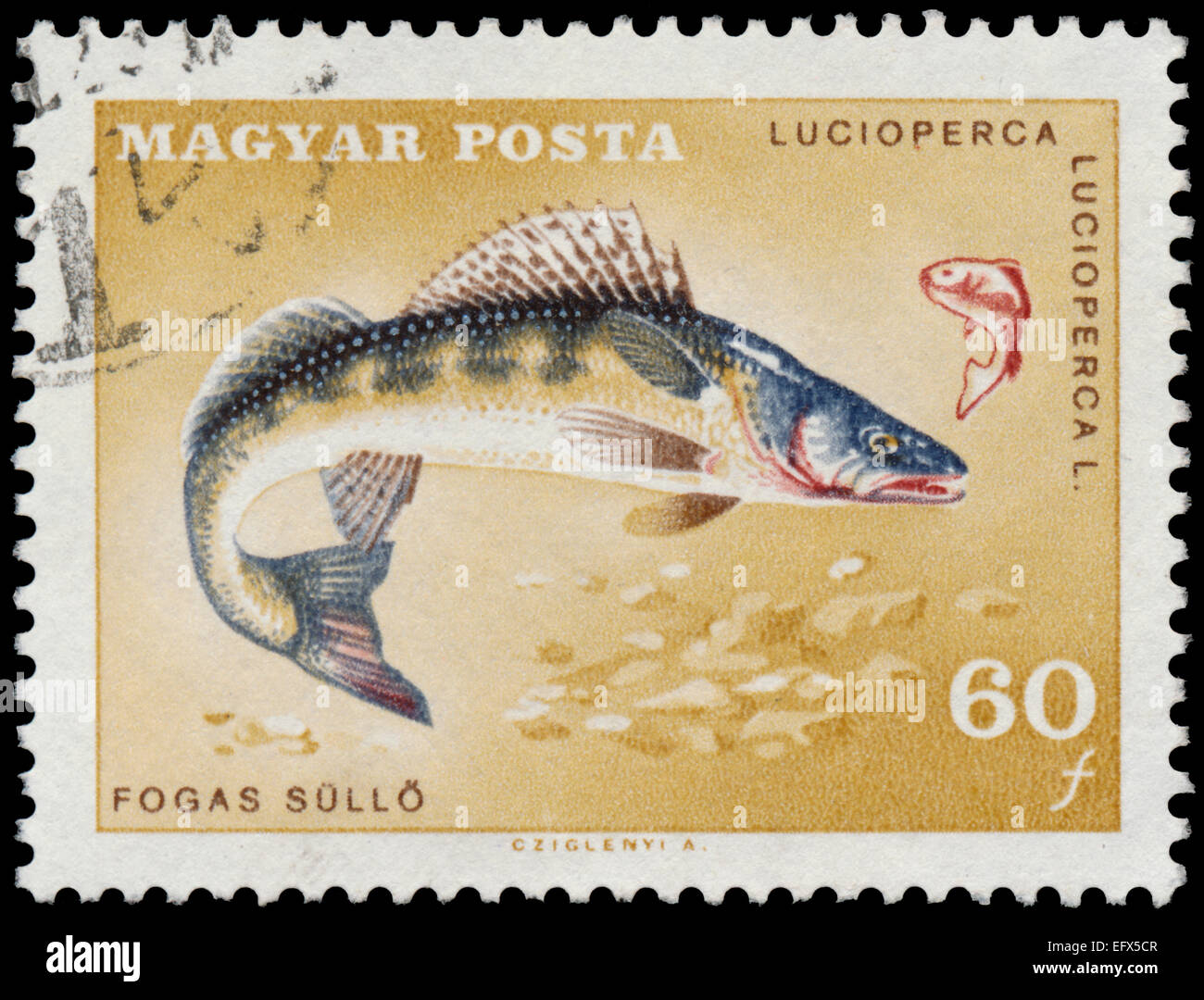 Hungary stamp fish hi-res stock photography and images - Alamy