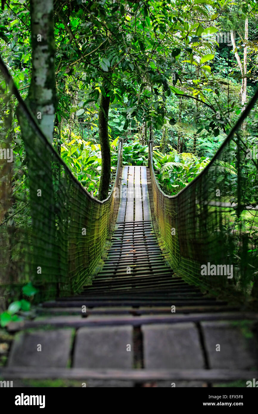 Wooden walking bridge in Cultural Village Mari Mari is a living museum ...